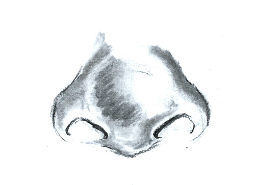 How to Draw Secrets: How to draw: a nose