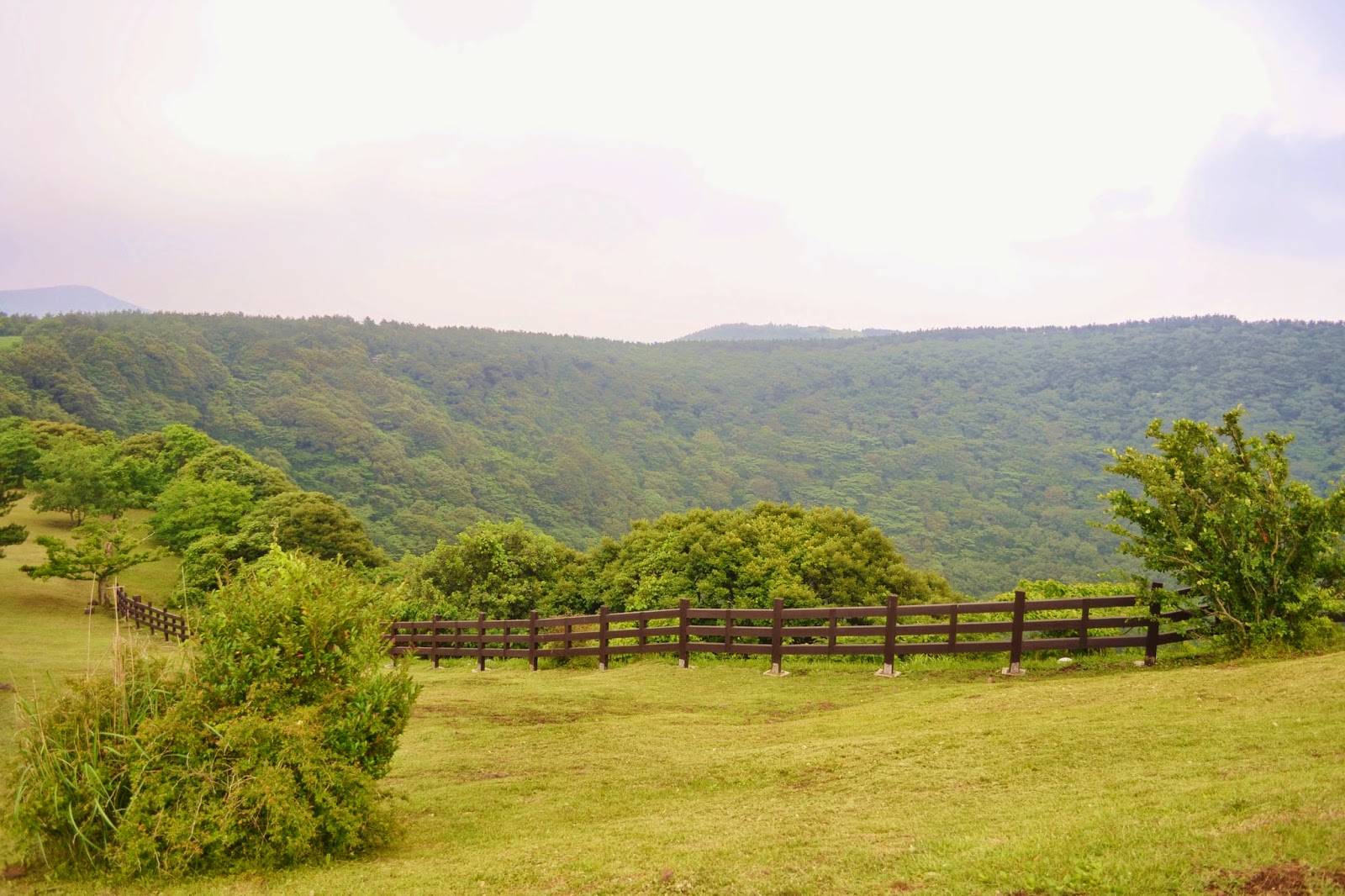 esor's HAEppiness!: South Korea 2014: Day 6 - Jeju Island (Sunrise Peak ...