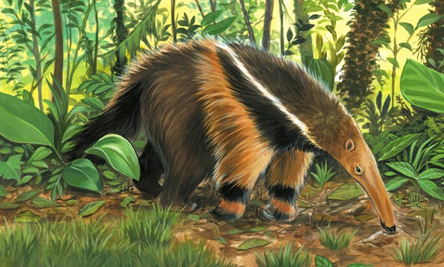 Christina Wald's Design and Illustration Blog: Portfolio: Animals