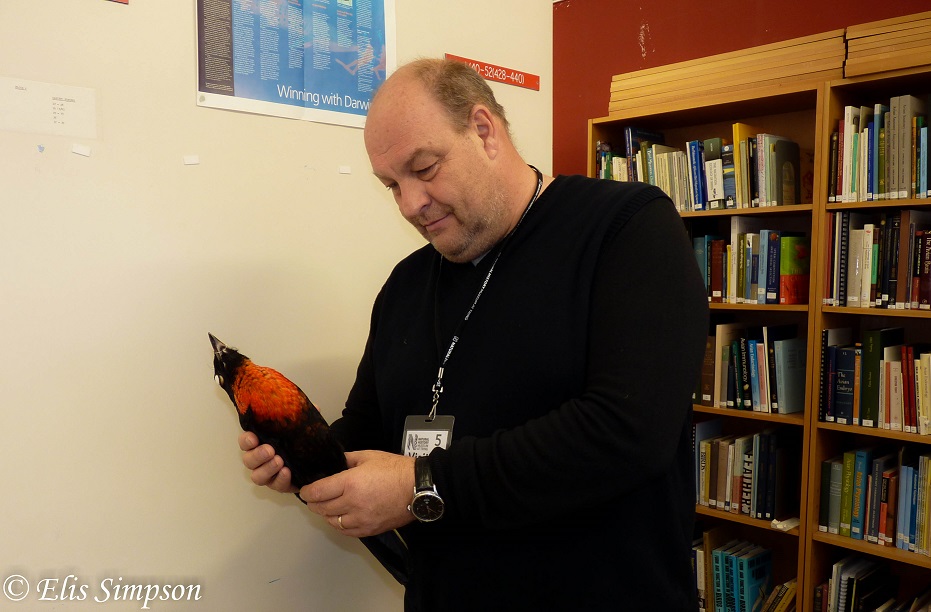 Rick Simpson Birding: Rick Simpson Profile