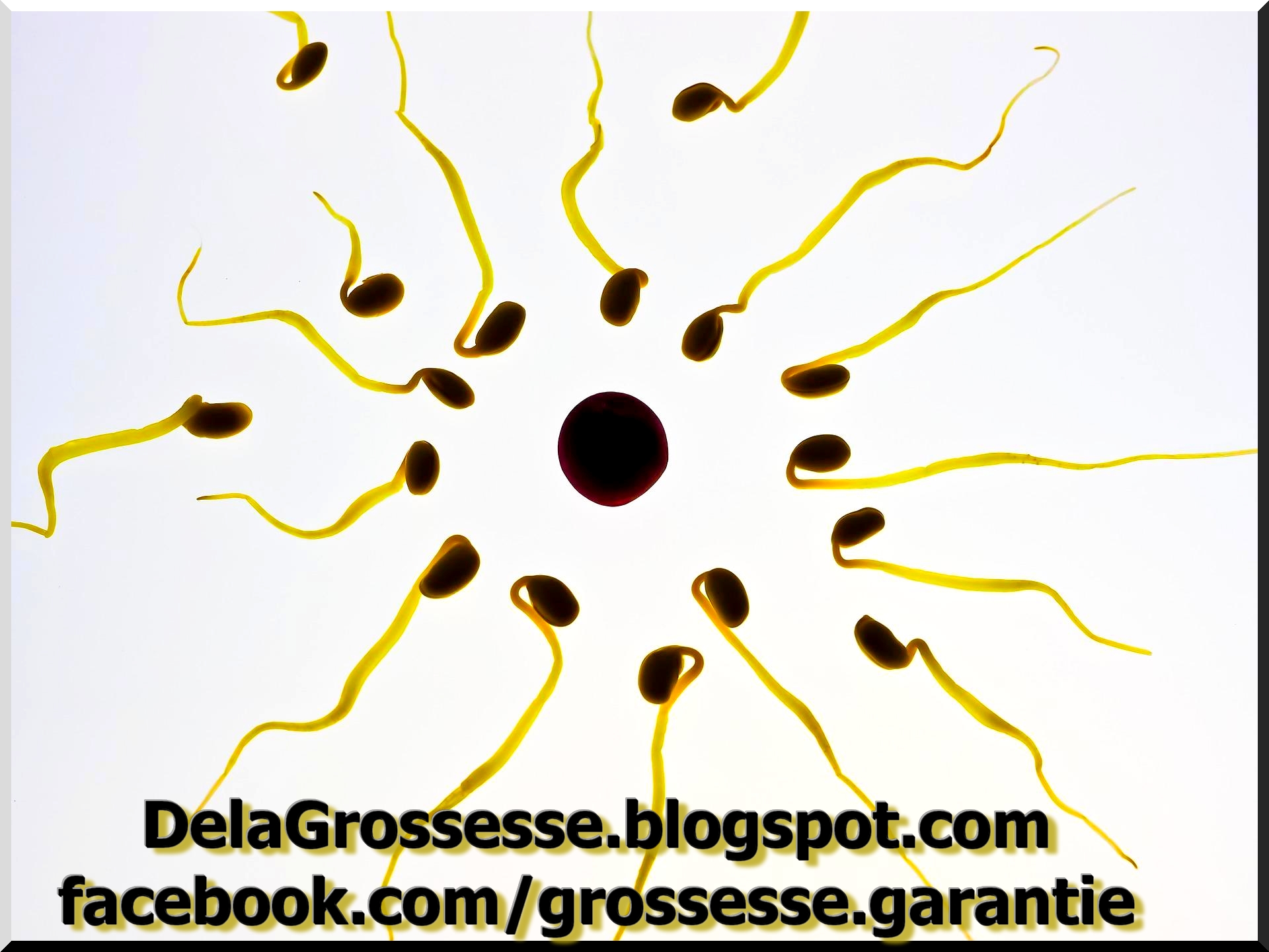 Asthénozoospermie: causes et traitement naturel 2022 / Tisane contre l ...