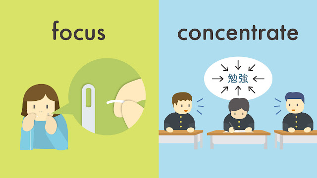 focus と concentrate の違いとは？