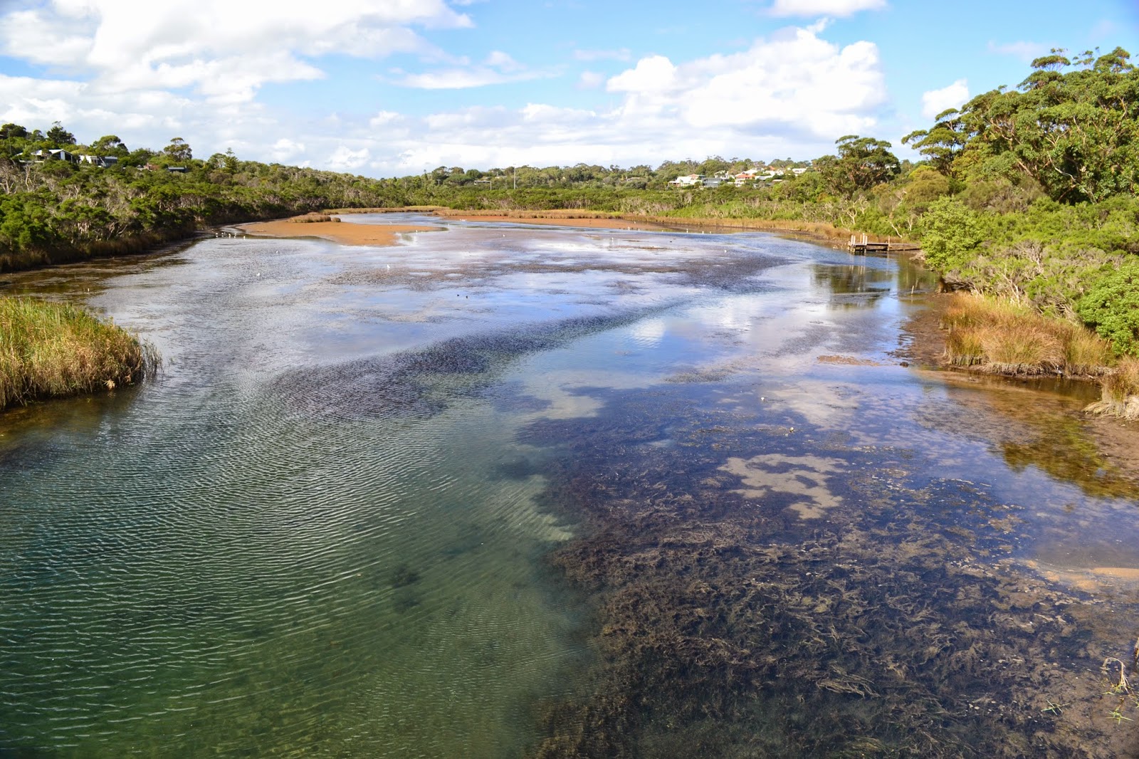 Goin' Feral One Day At A Time: Balcombe Estuary Nature Park Trail, 13th ...