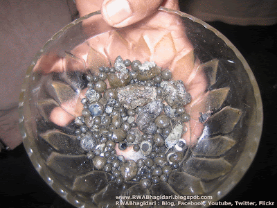 RWABhagidari - RWAs Online News Channel: Ulka Pind or something else ...