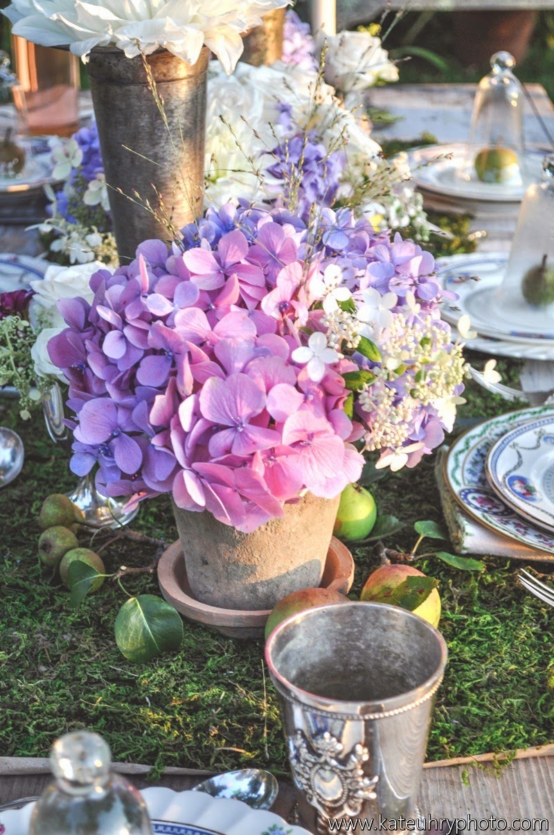 SARAH WORDEN NATURAL DESIGN