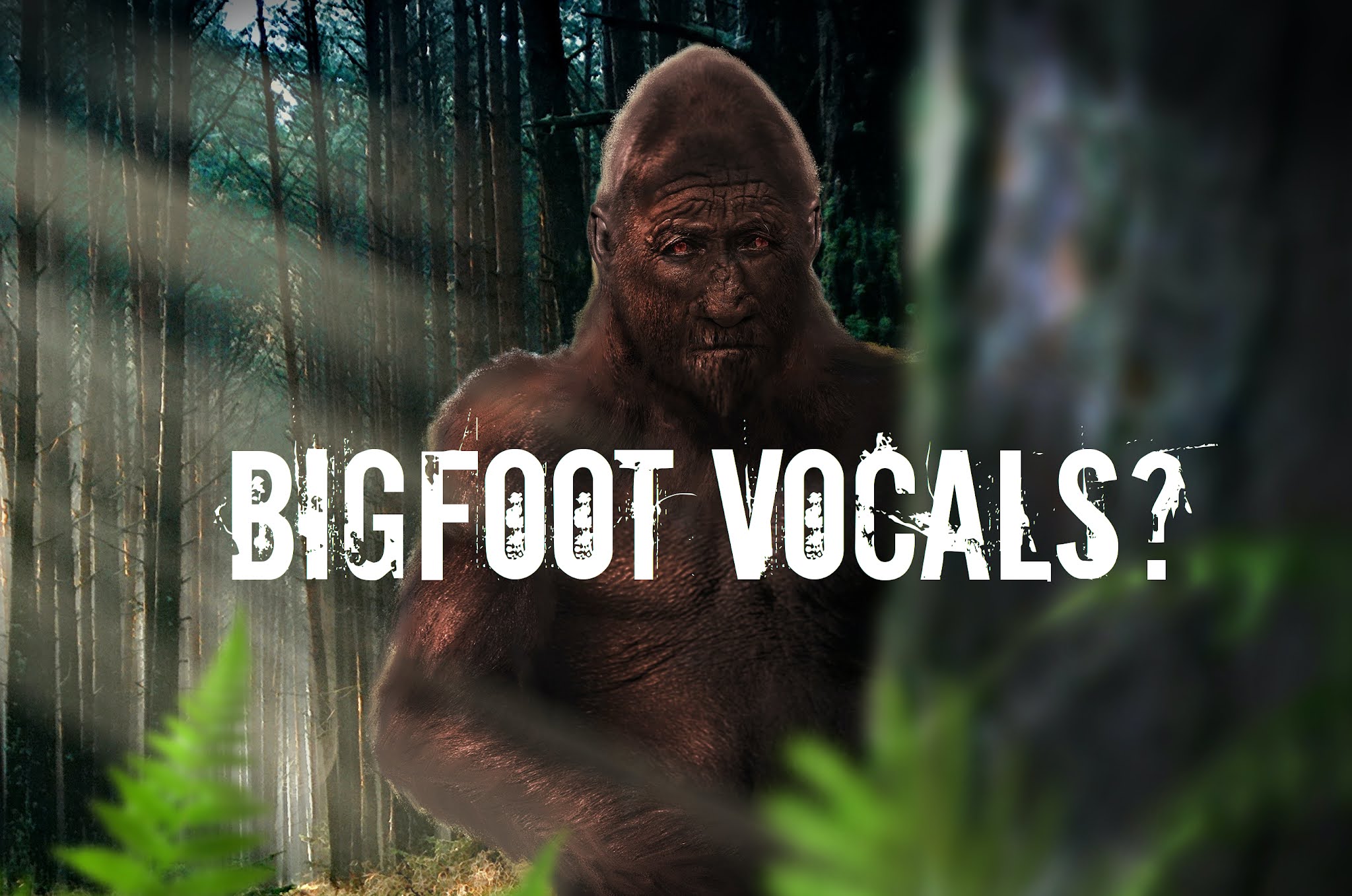 Was It Bigfoot Talking? ~ The Crypto Crew