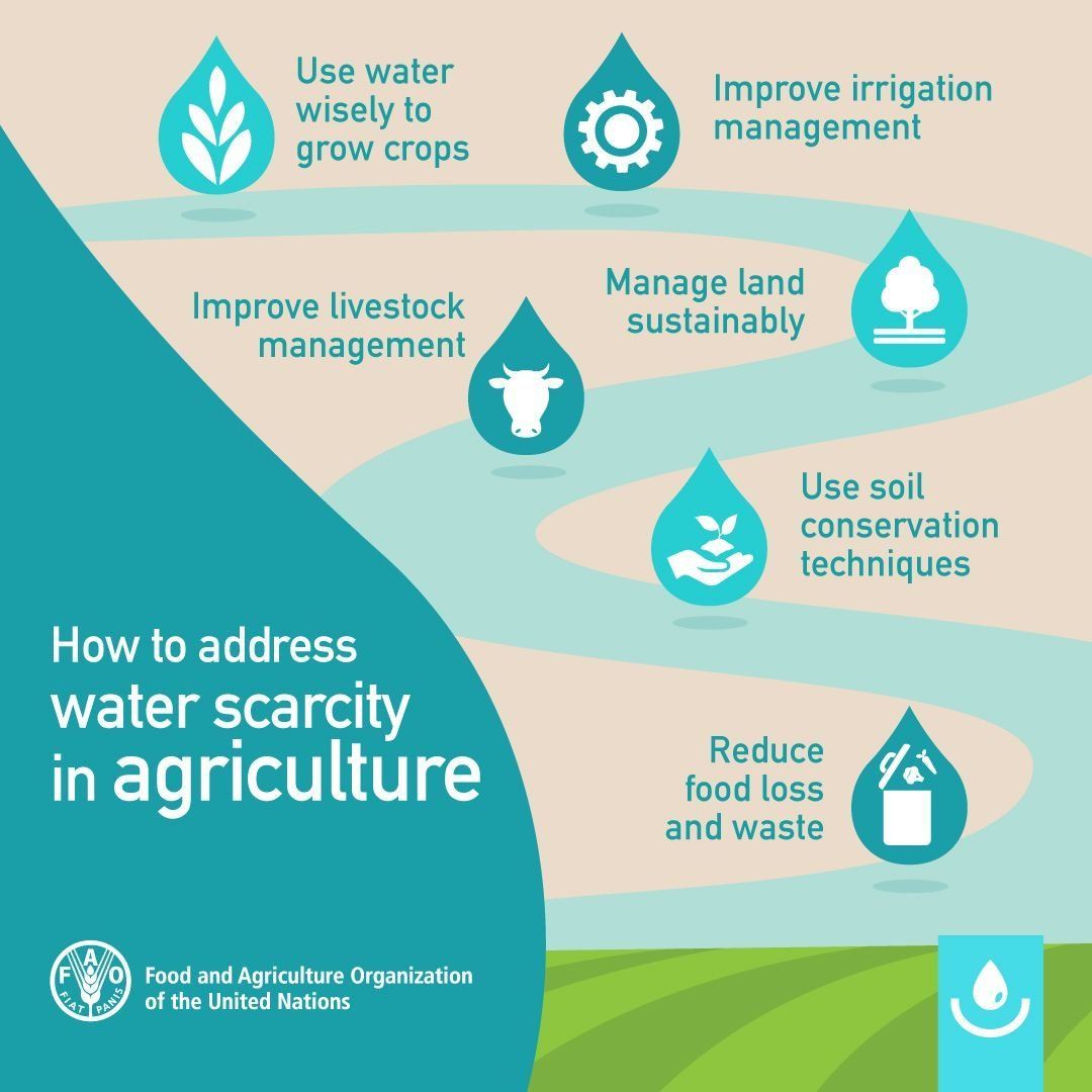 Sherbaz Ali Khan: How to Address Water Scarcity in Agriculture