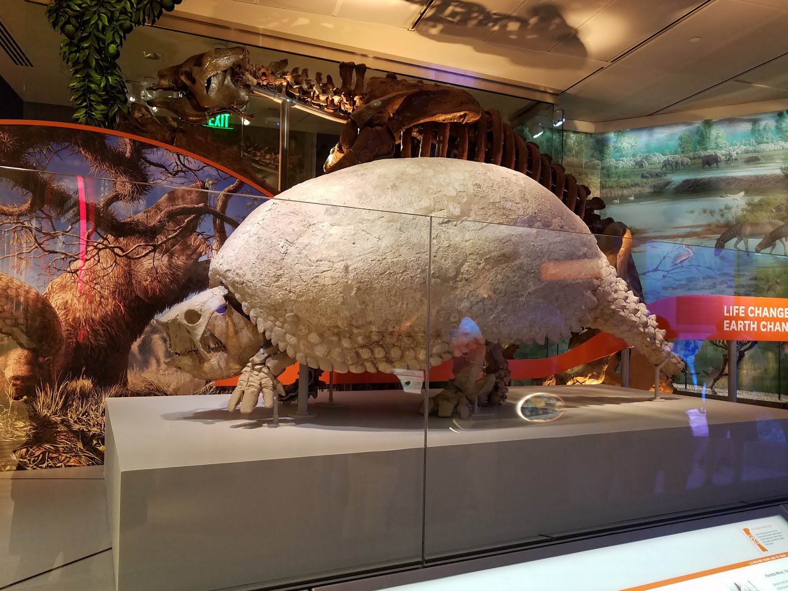 [Explore DC] NOW OPEN! David H. Koch Hall of Fossils -- Deep Time ...