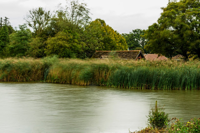 Enjoy your time with beautiful places: Warnham Nature Reserve and ...