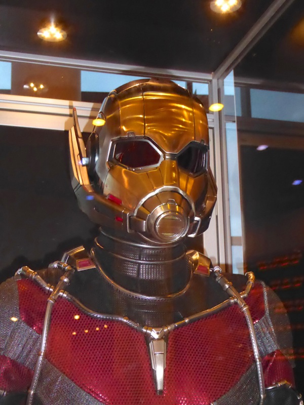 Hollywood Movie Costumes and Props: Paul Rudd's Ant-Man costume from ...