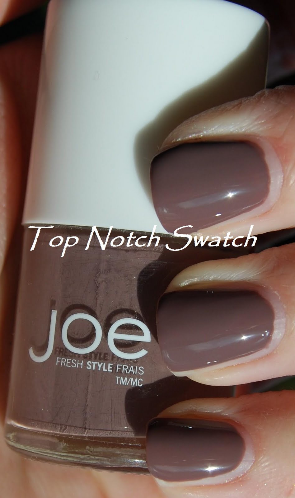 TOP NOTCH SWATCH