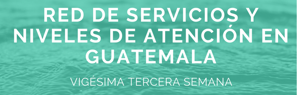 Vigésima Tercera Semana