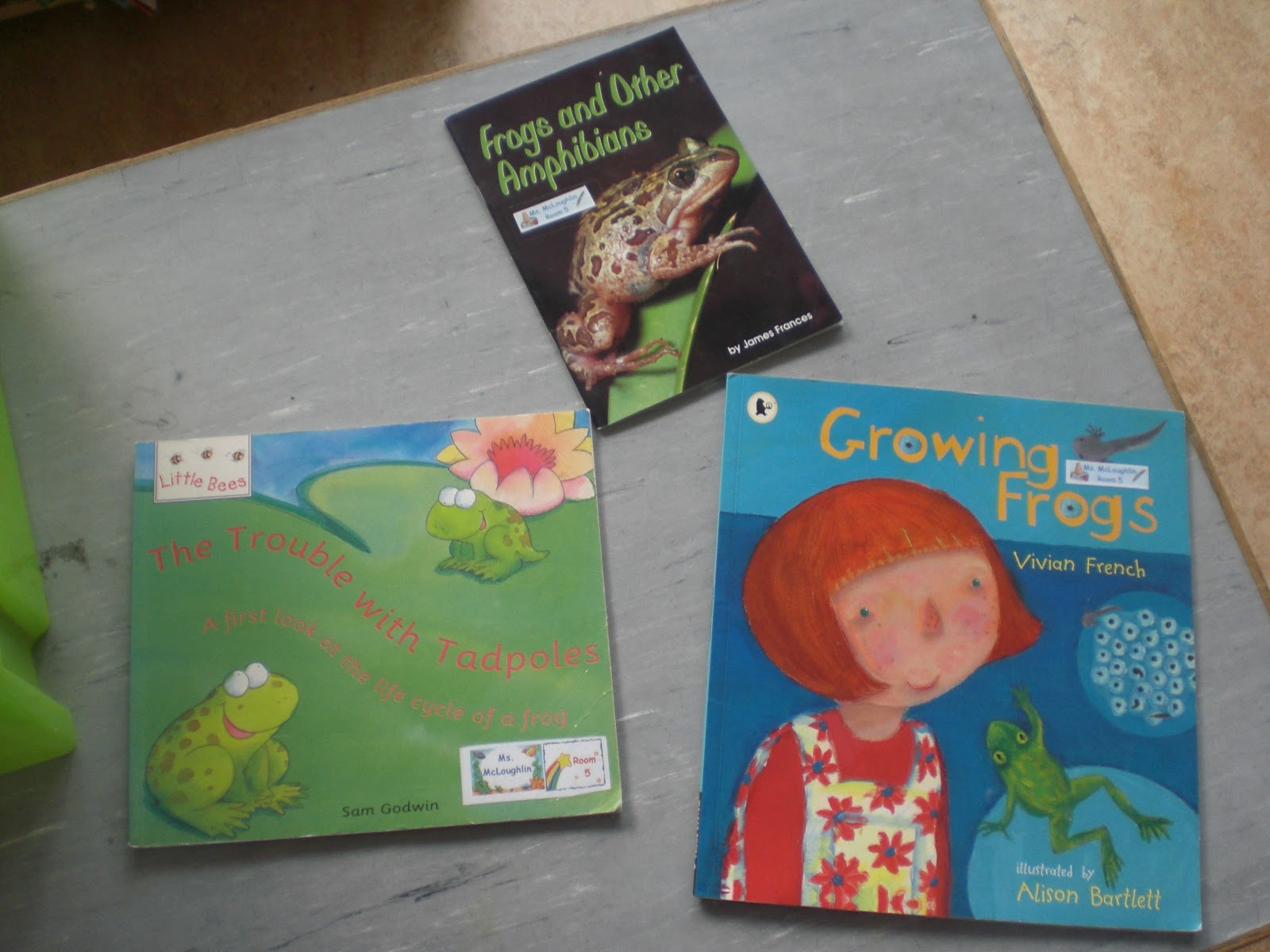 From Frog Spawn to Frog: Learning about frogs