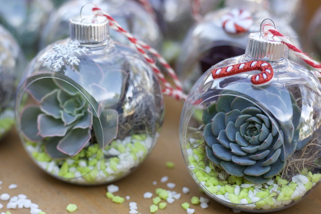 Succulent Christmas Trees, Ornaments, Wreaths and Decor!