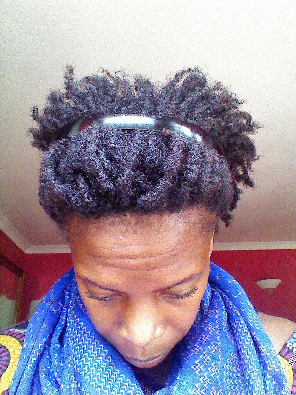 My Fat Loss & Locs Hair Journey May 2013: Start of Locs Journey May 2103