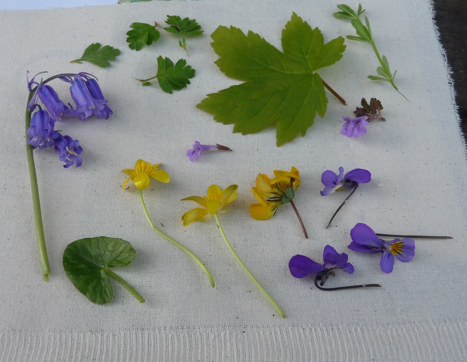 Wool - Tribulations of Hand Spinning and Herbal Dyeing: Hammer Printing ...