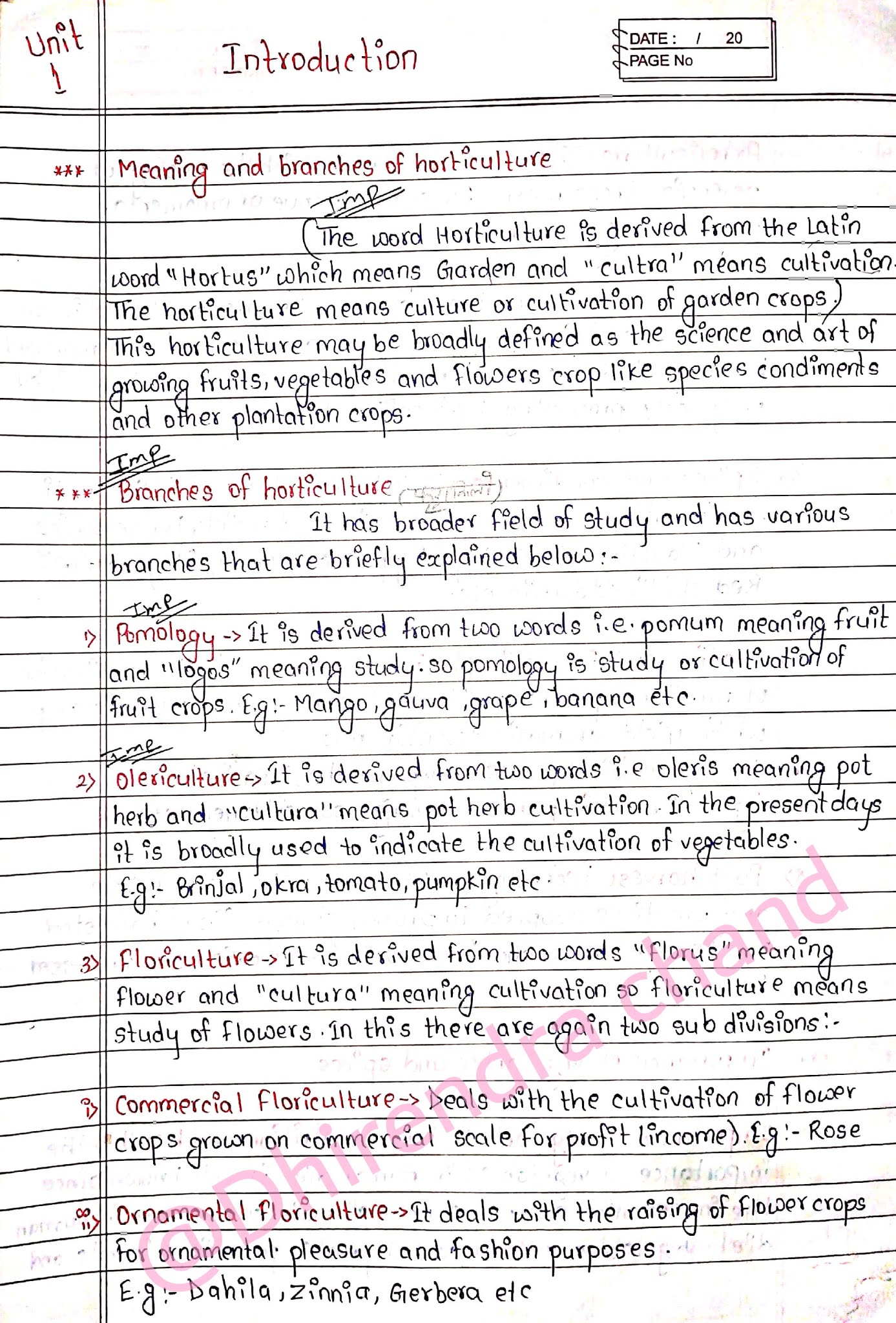 Vegetable Production Note: PDF download link inside ~ A2Z AgriNotes