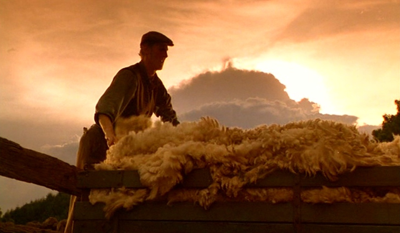 :) O Teatro da Vida :(: 1001 Filmes: Babe - O Porquinho Atrapalhado (Babe)