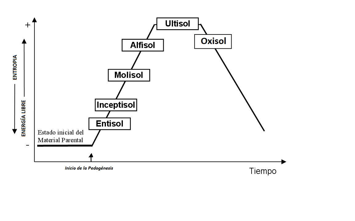 SUELOSCOPIO: Evolución del Suelo desde una perspectiva Sistémica y ...
