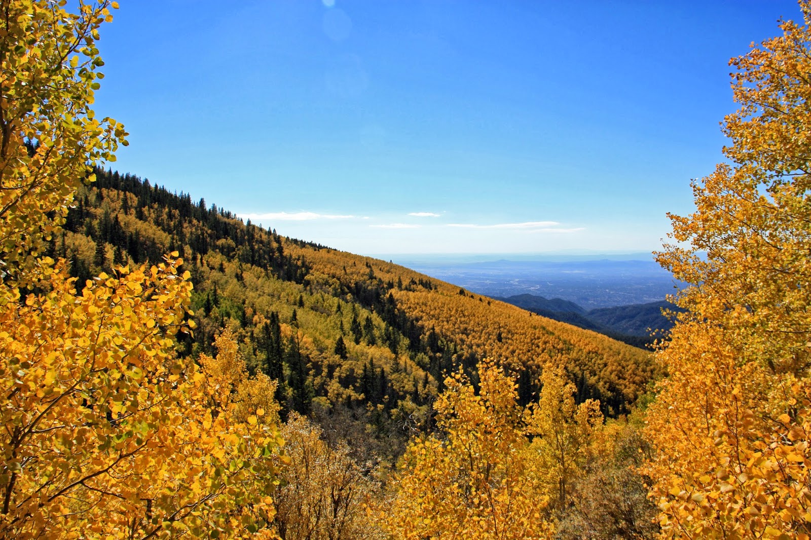 A is for Adventure: Fall Foliage at Aspen Vista (Santa Fe, NM)