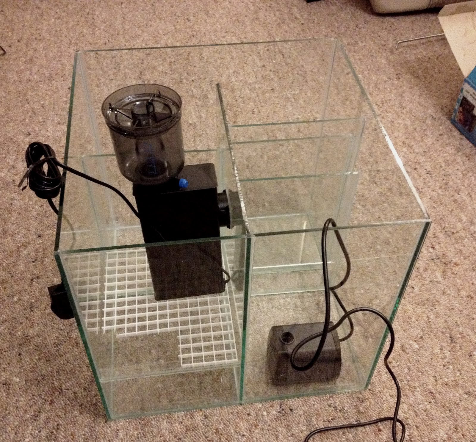 Emboli's Aquariums: [MARINE TANK] Custom made sump