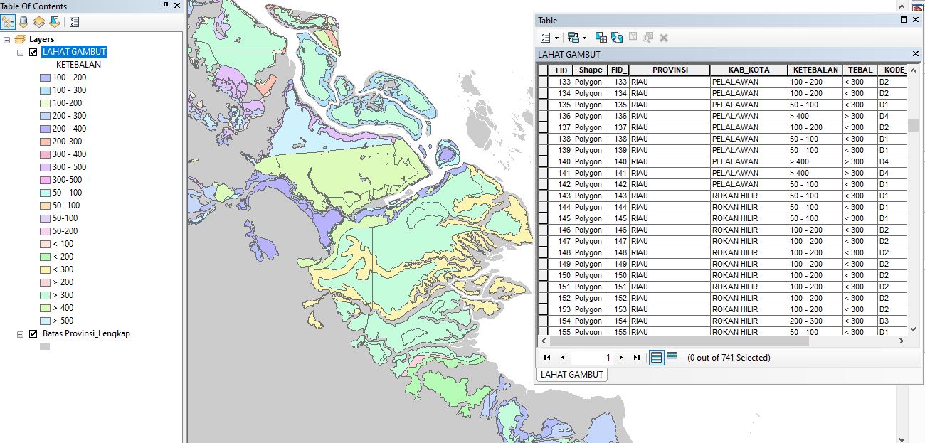 Shapefile Area Lahan Gambut Seluruh Indonesia - Lapak GIS