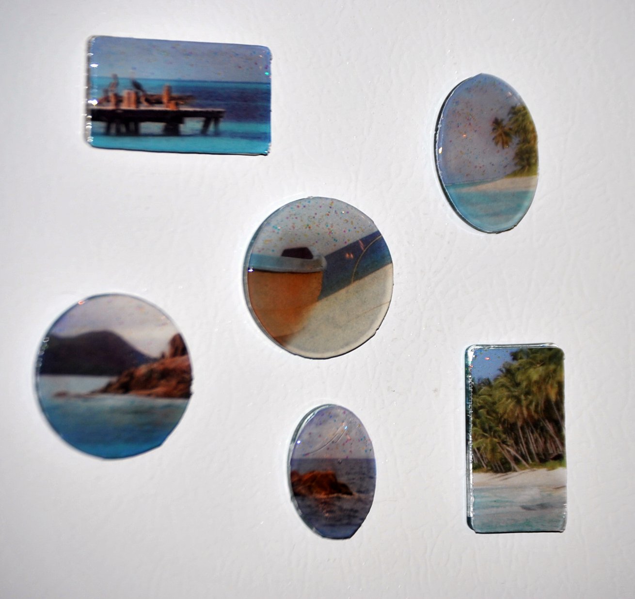 Catfish Drive: Beach Refrigerator Magnets