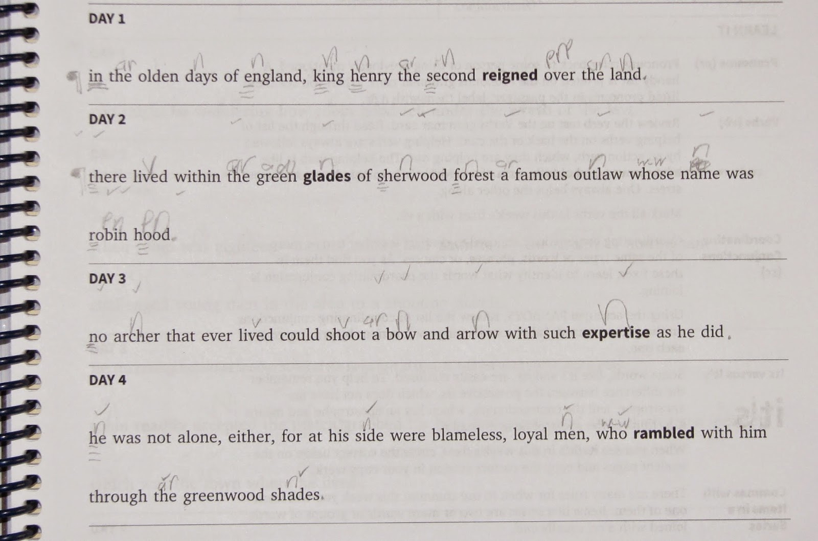 Home Sweet Life: Fix-It! Grammar: Robin Hood - A Crew Review