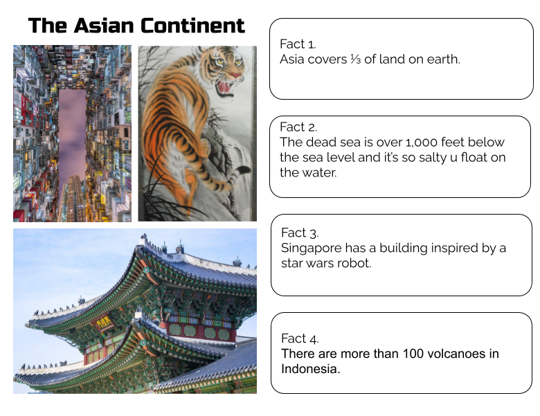 Amira @ Pt England School: Four Facts - Asian Continent