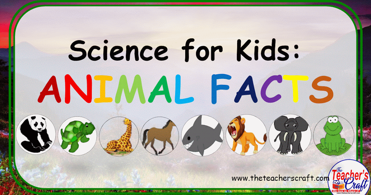Science for Kids: Animal Facts - The Teacher's Craft