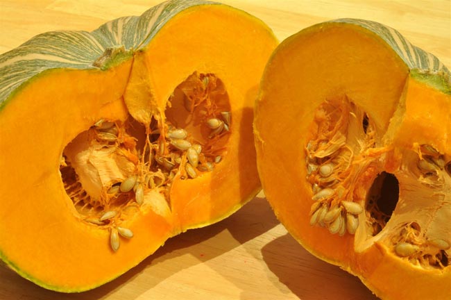 KILIMO SMART: FAHAMU KILIMO CHA MABOGA NA HATUA ZAKE