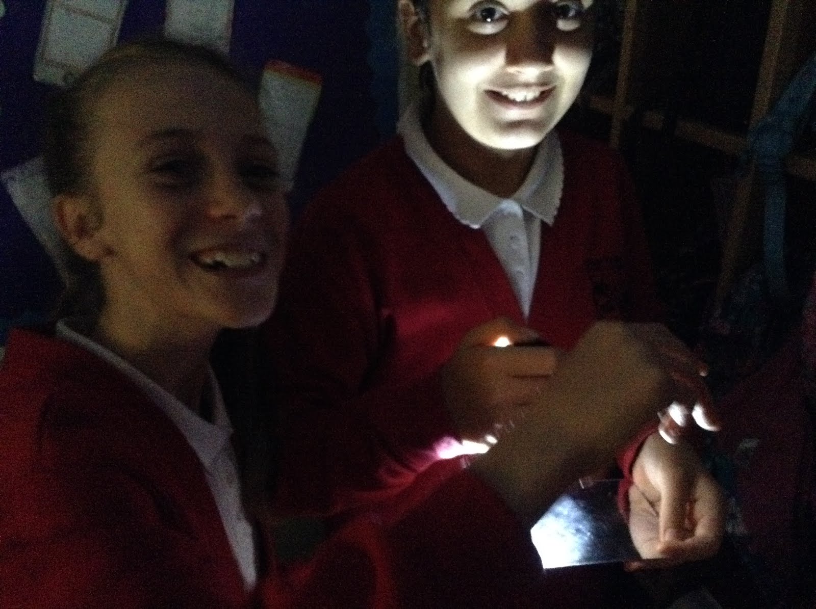 Welcome to the Year 6 Blog - The Home of Apple and Juniper ...