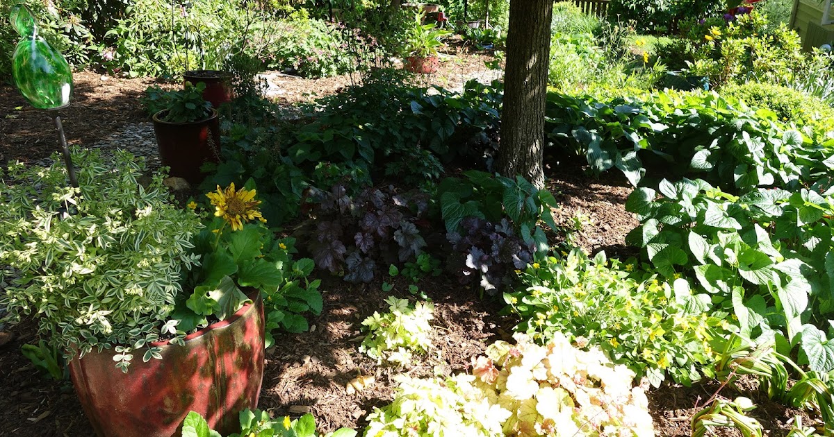 M R Gardens: NATIVE LANDSCAPE DESIGN