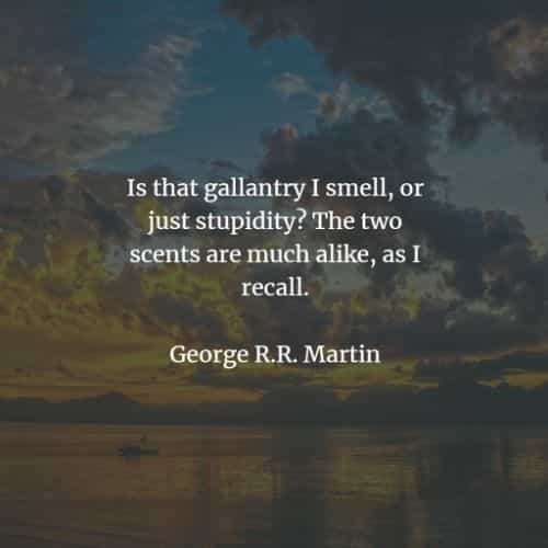 65 Stupidity quotes and sayings that will open your mind