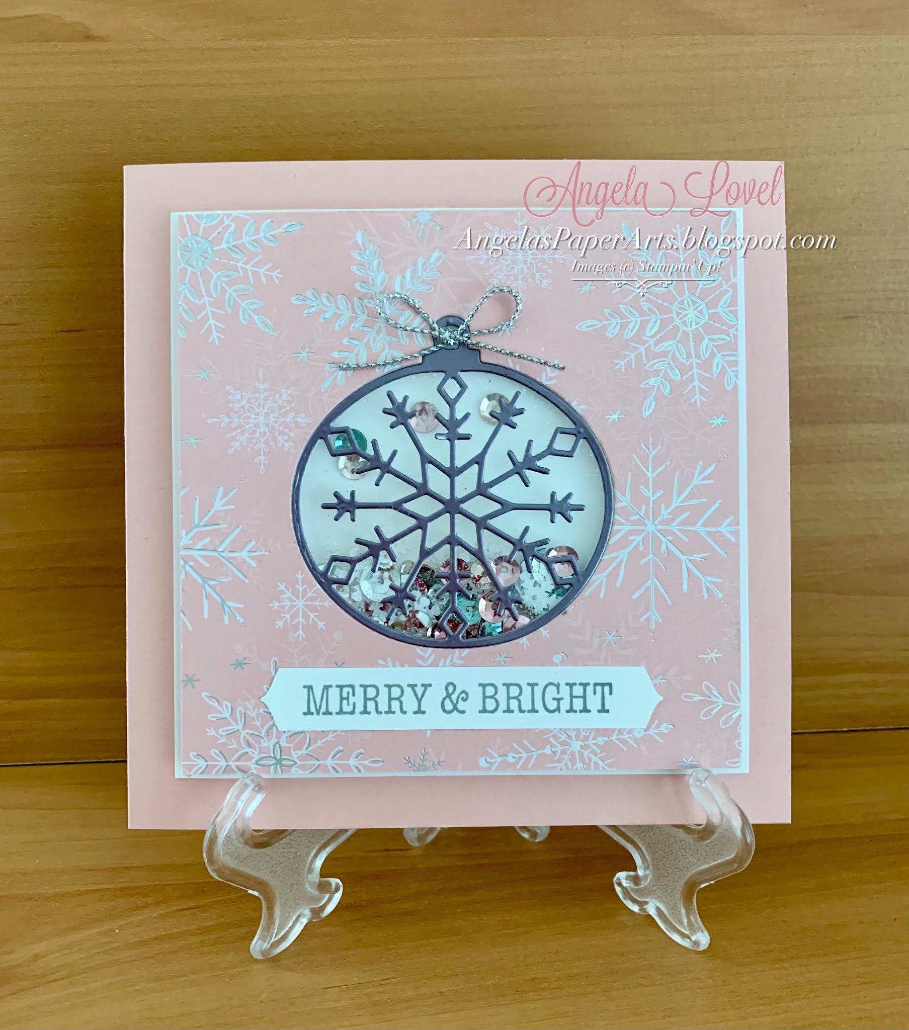 Angela's PaperArts: Angela's PaperArts: Whimsy & Wonder shaker card