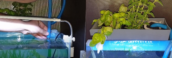 How to Build DIY Aquarium Filter Box from Planter