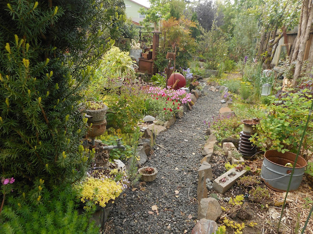 Gardening With Grace: A Bunch of Random Photos