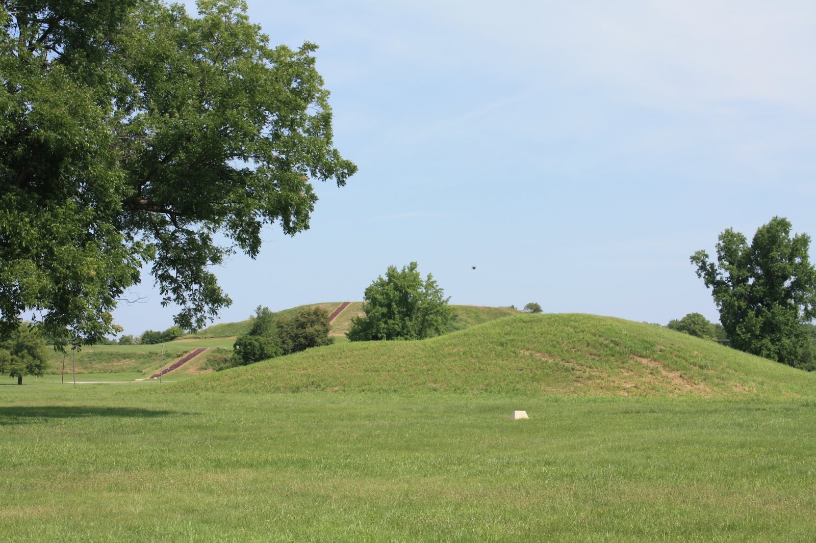 A Little Time and a Keyboard: Cahokia Mounds State Historic Site