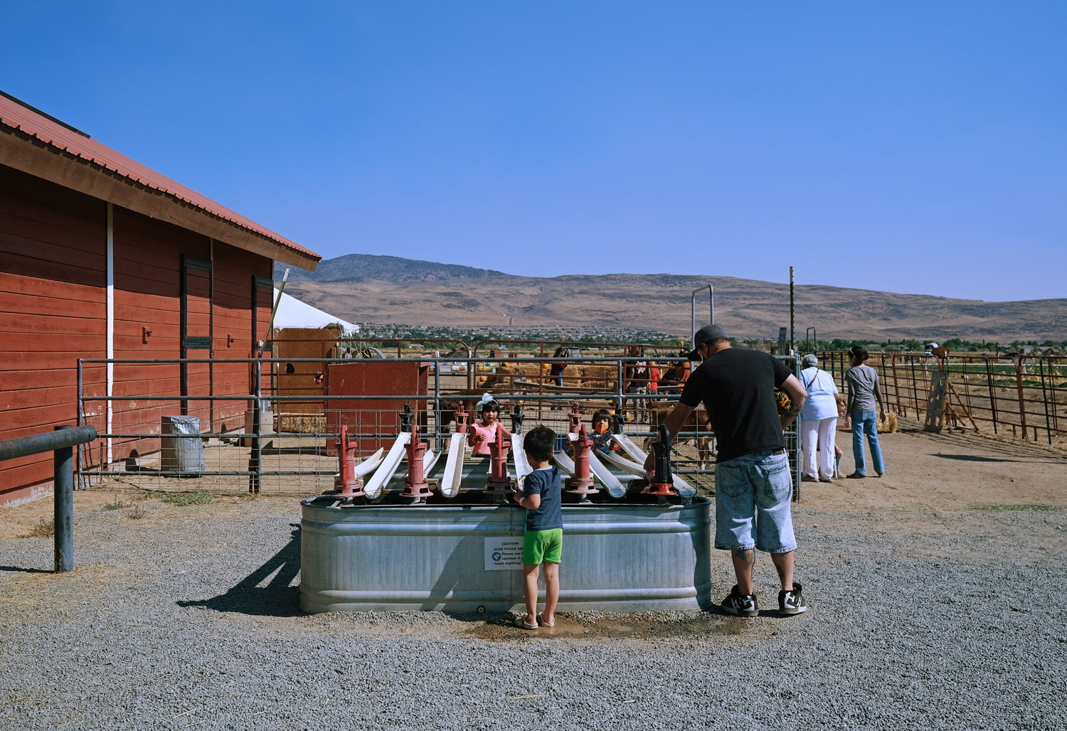 Loving Reno: Andelin Farm- A Charming, U-Pick, Family Owned Farm that ...