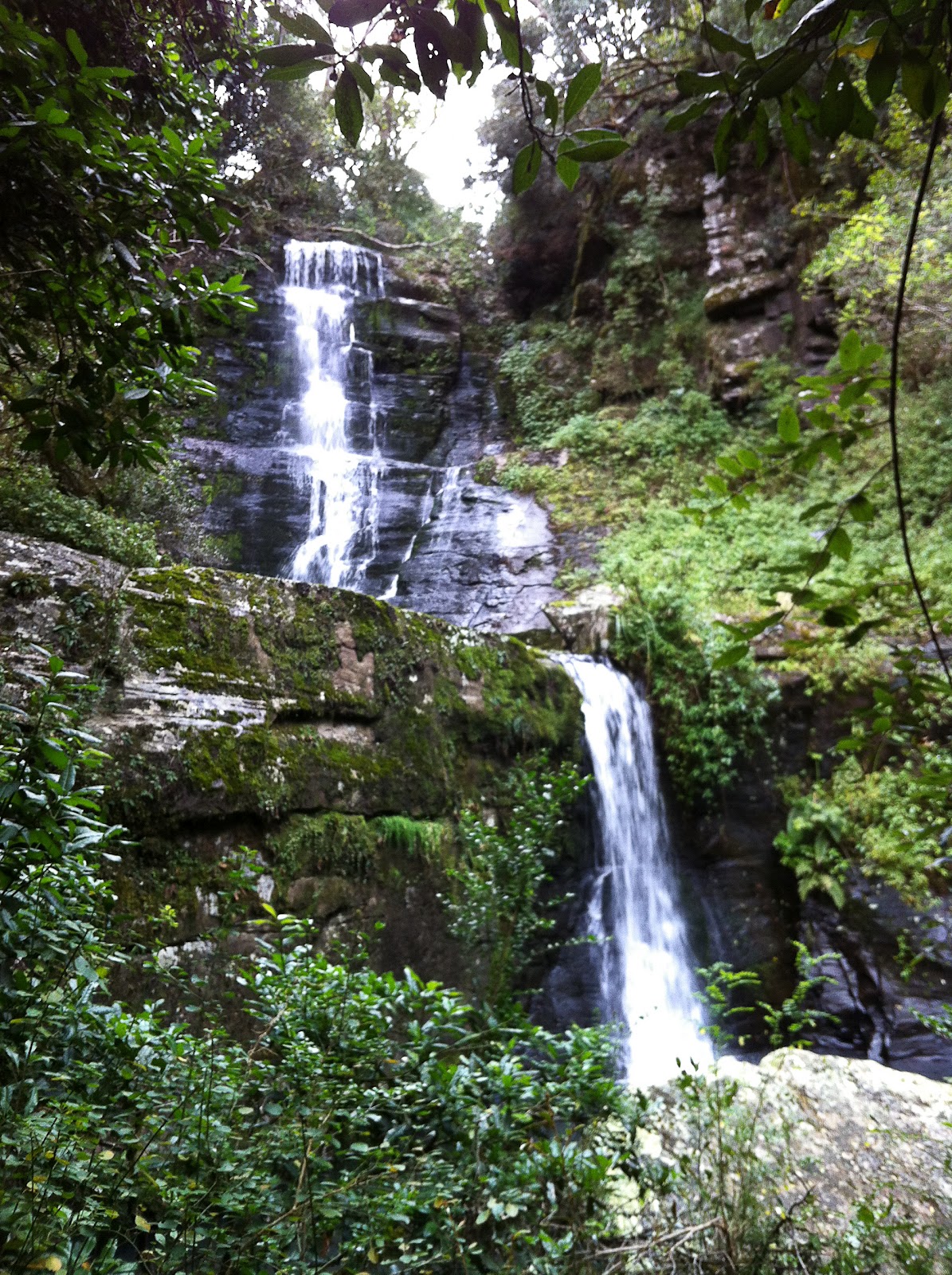 Jaap and South Africa: Amatole trail