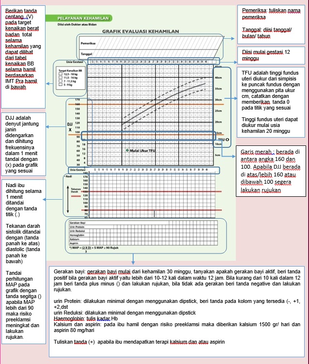 BUKU KIA TERBARU REVISI TAHUN 2020, REVISI BAGIAN MATERNAL