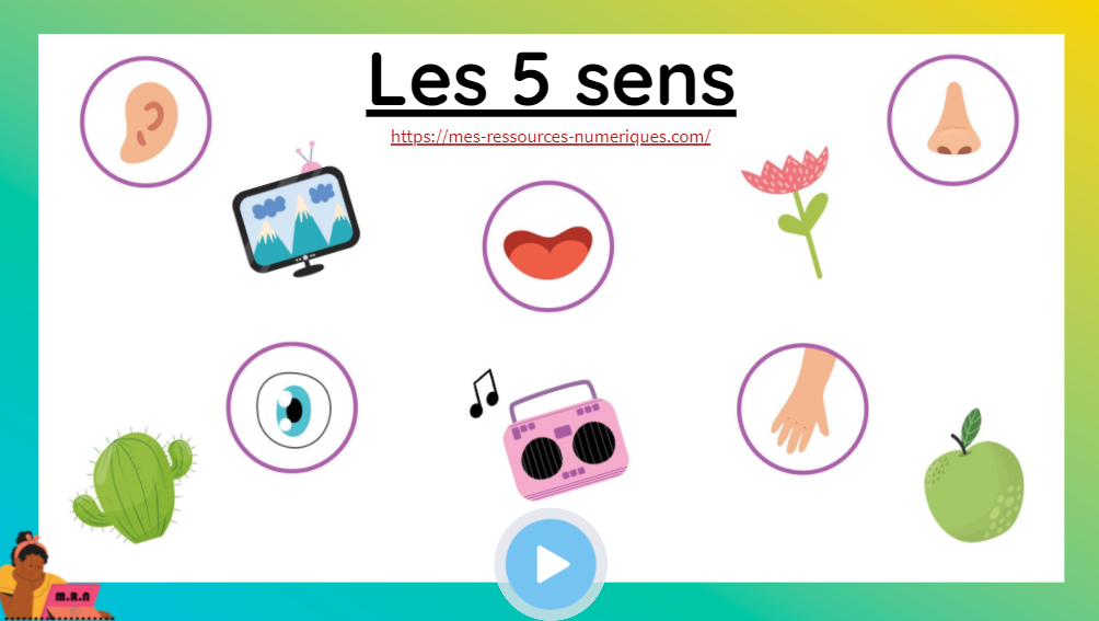 Exercice interactif - les 5 sens