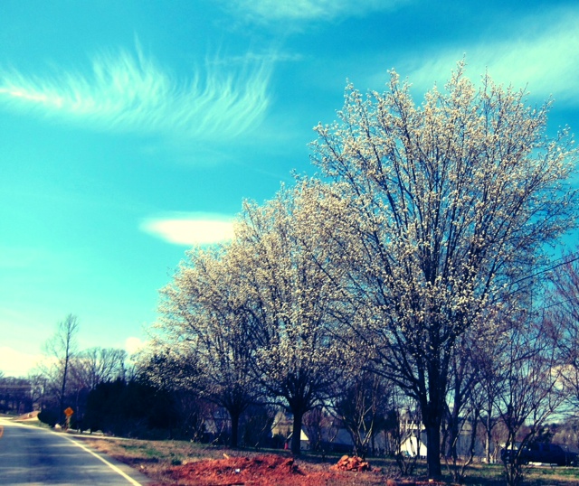 Our Harley Adventures: Hurry, Spring