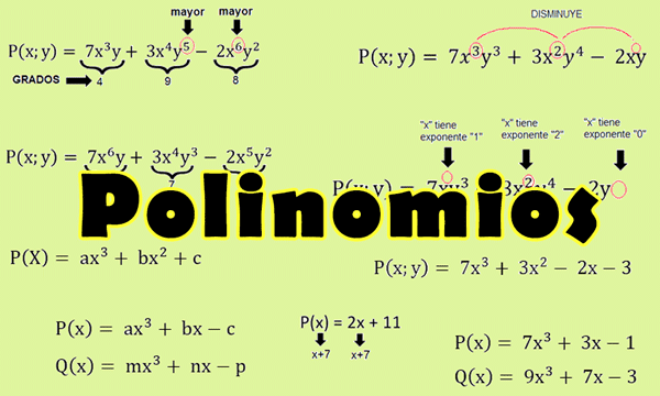 POLINOMIOS