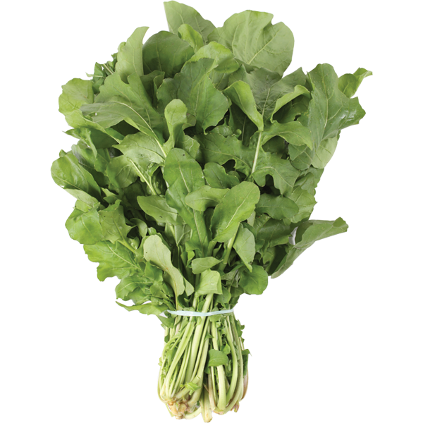 Rúcula pode atuar contra gastrite e sua saude