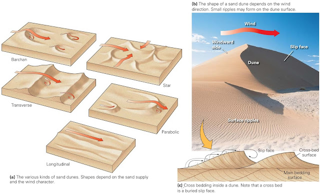 Learning Geology: Desert Landscapes and Life