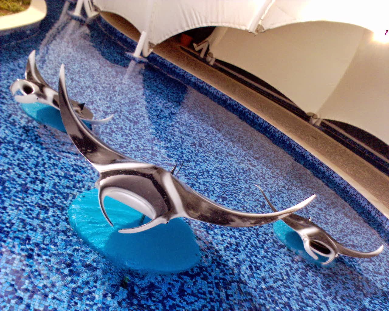 Pascal Alonzo: esculturas: mantarrayas realizadas para Palma Aquarium