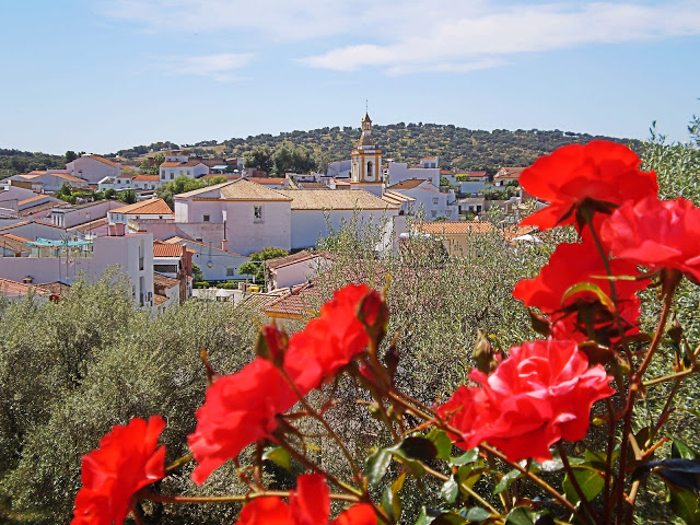 NATURALEZA A UN PASO DE SEVILLA: El Ronquillo