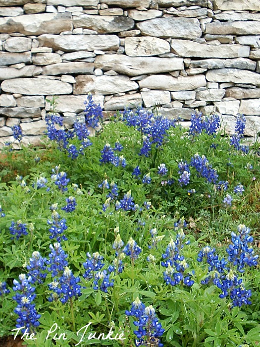 How to Make Paper Bluebonnets