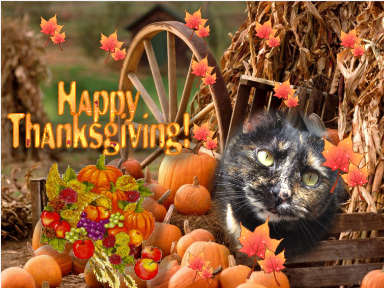Melissa s Mochas Mysteries And Meows Happy Thanksgiving 2020 melissa-s-mochas-mysteries-and-meows-happy-thanksgiving-2020